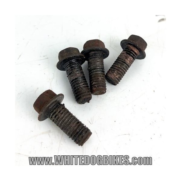 1999 Kawasaki GPZ500 D6 Front Mudguard Bolts - EX500 Fender